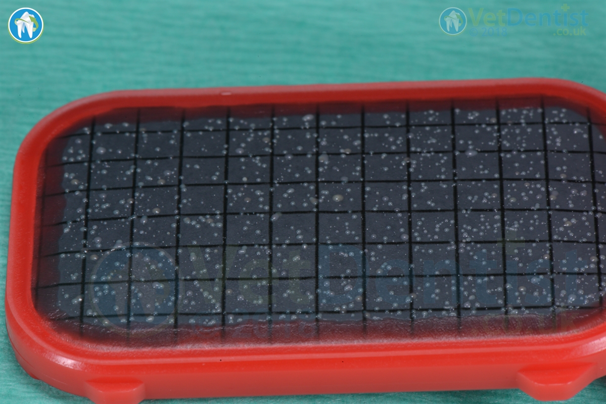 VetDentist Red Samplers v Dipslides – VetDentist INFO