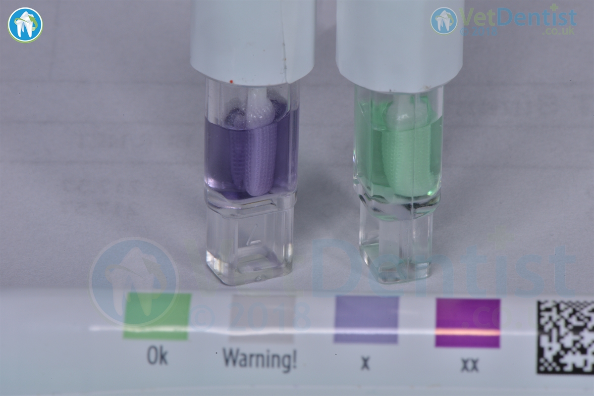 Testing – Residual Protein – VetDentist INFO